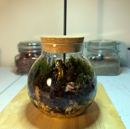 Terrestrial Terrarium Kits – Page 2 – Plush Moon Terrarium Co