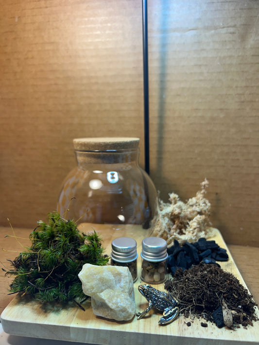 Terrestrial Terrarium Kits – Page 2 – Plush Moon Terrarium Co