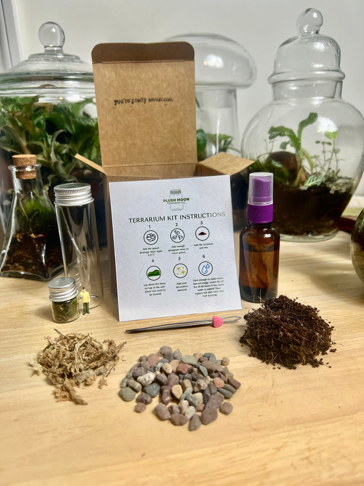 Terrestrial Terrarium Kits – Plush Moon Terrarium Co