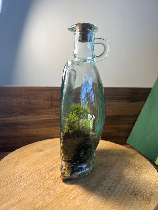 Terrariums for Sale – Plush Moon Terrarium Co
