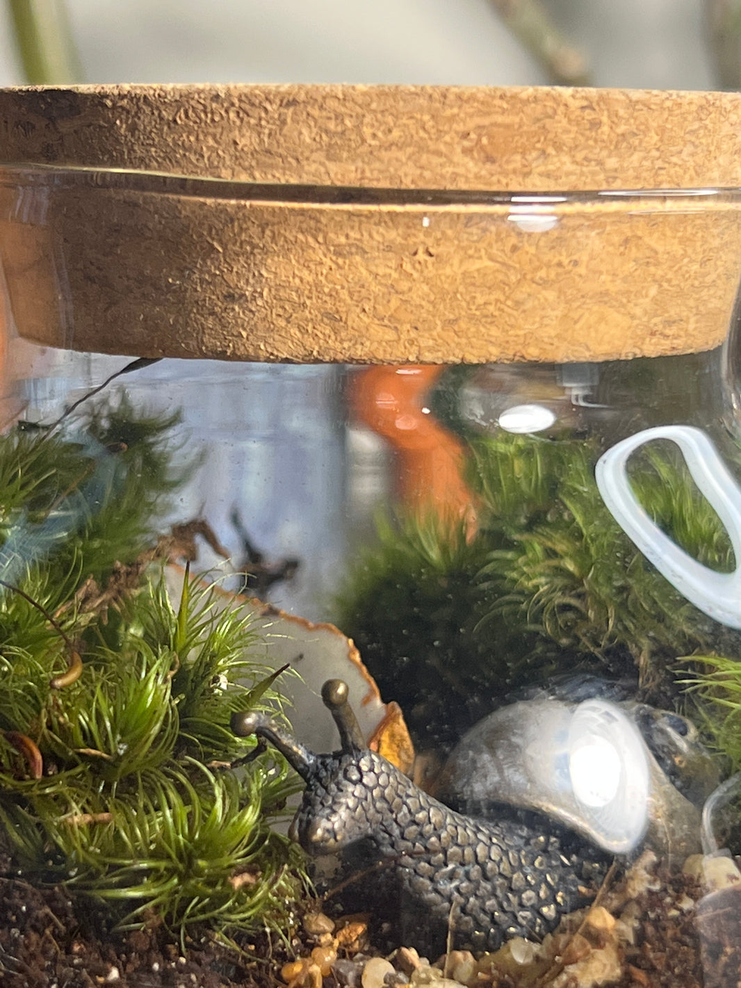 Terrariums for Sale – Plush Moon Terrarium Co